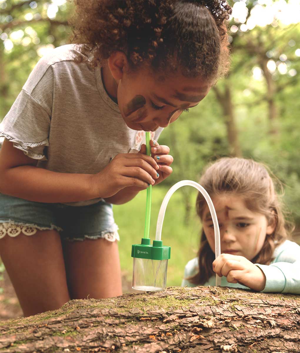 The Entomology Kit - The Den Kit Co.