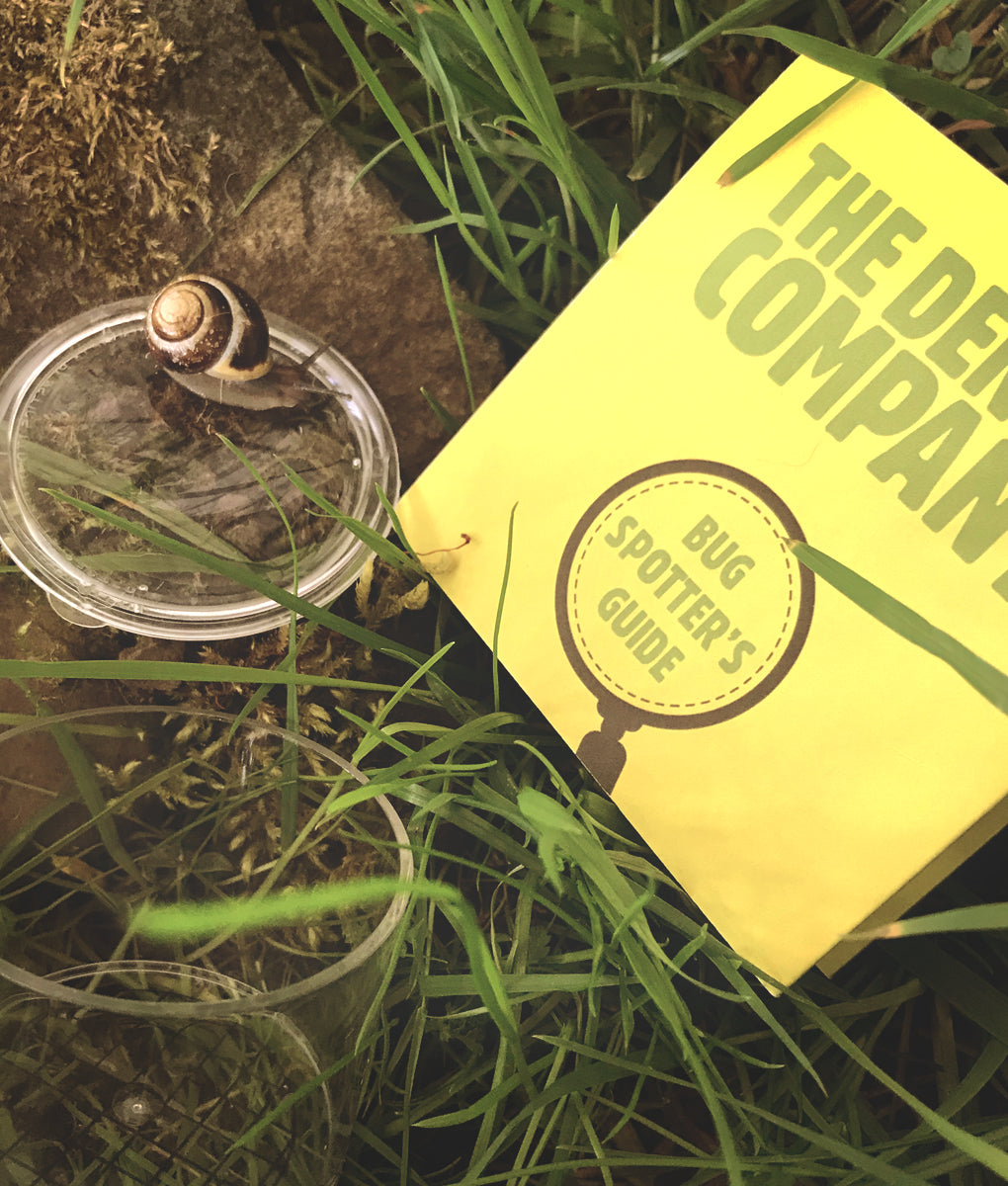 The Bug Spotter Kit – The Den Kit Co.