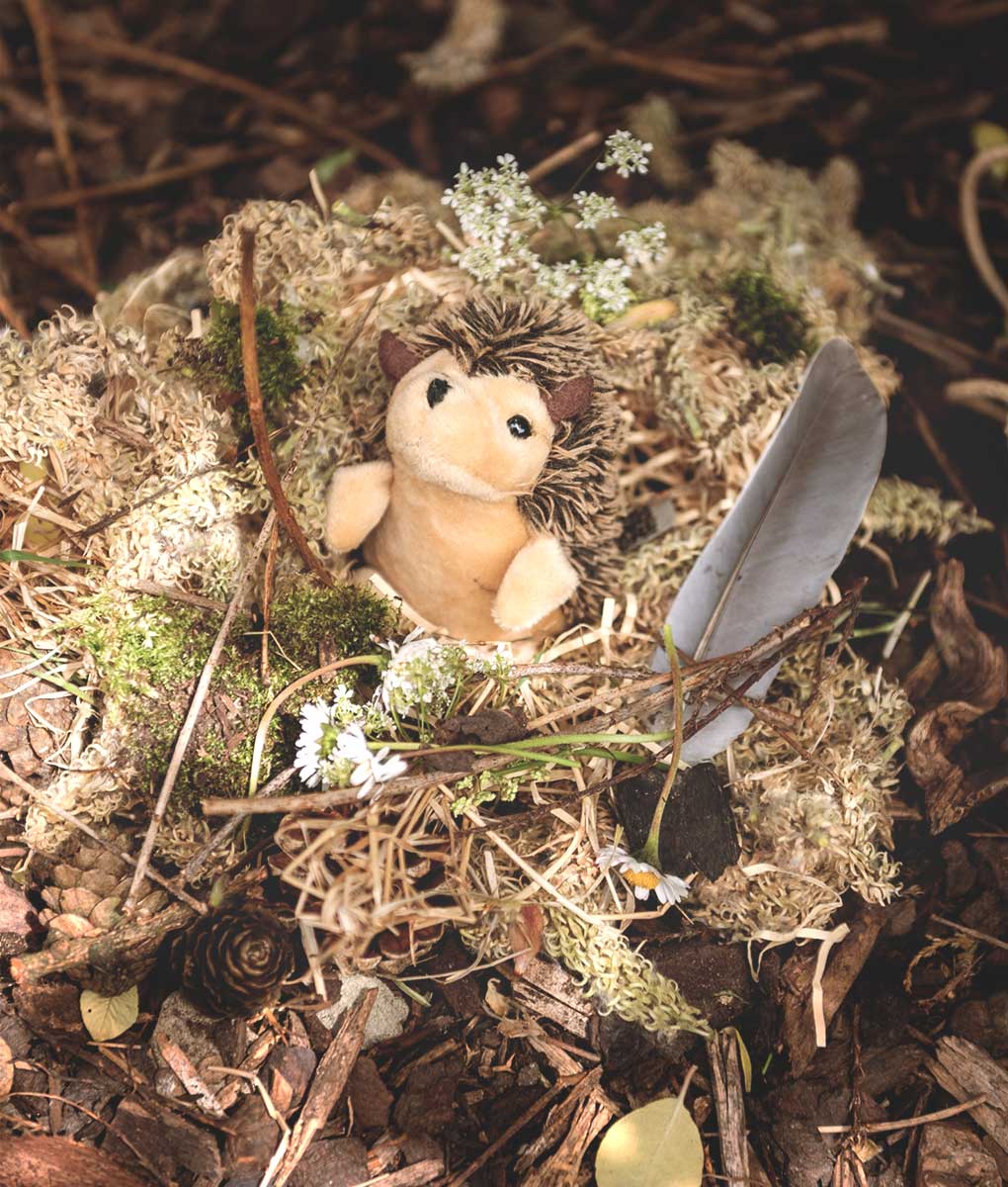 Hedgehog Cuddly Toy – The Den Kit Co.